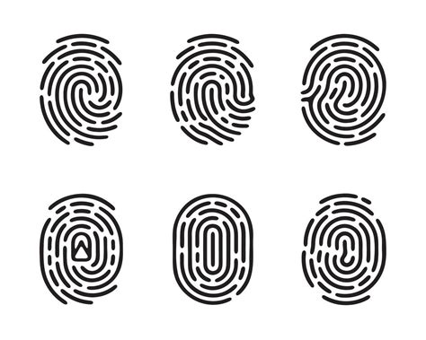 Six Different Fingerprint Patterns Illustration 60630996 Vector Art At Vecteezy