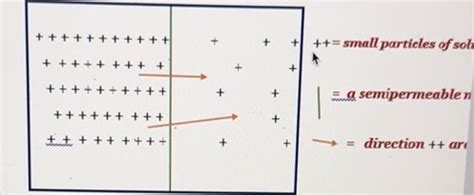 Life Science Quiz Flashcards Quizlet