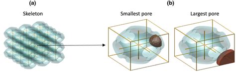 Computation Of Smallest And Largest Pores In The Scaffolds A The Download Scientific Diagram