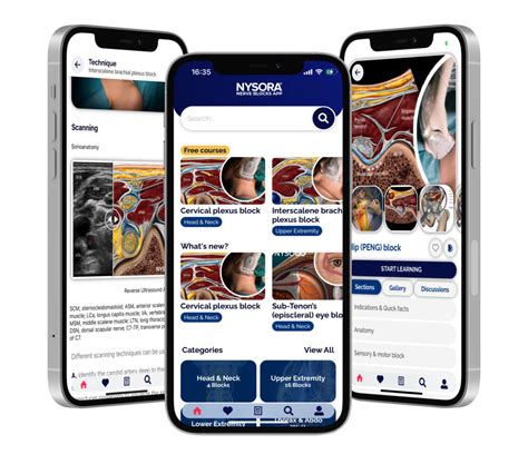 NYSORA Nerve Blocks App Ultrasound Guided Nerve Blocks