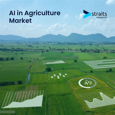 Transforming Agriculture With Ai A Look Into The Growing Impact Of Artificial Intelligence In