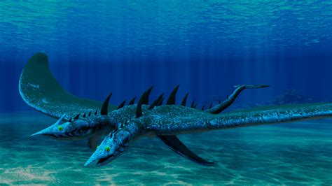 Artstation Seashoker Dragons Race To The Edge