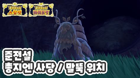 준전설 총지엔 사당 위치와 말뚝 위치 포켓몬스터 스칼렛 바이올렛 Youtube