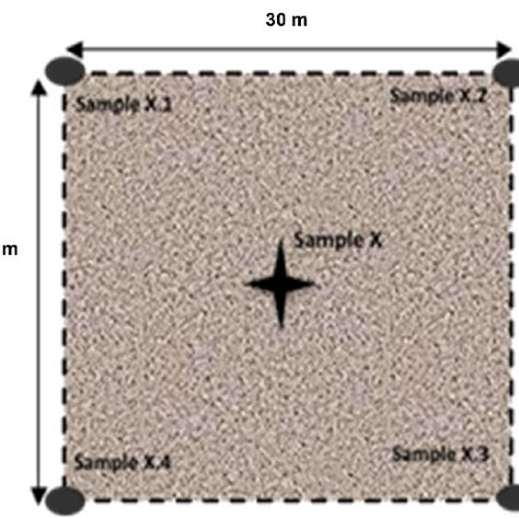 Soil Sampling Method Download Scientific Diagram