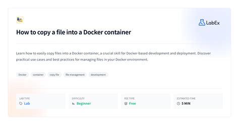 How To Copy A File Into A Docker Container Labex