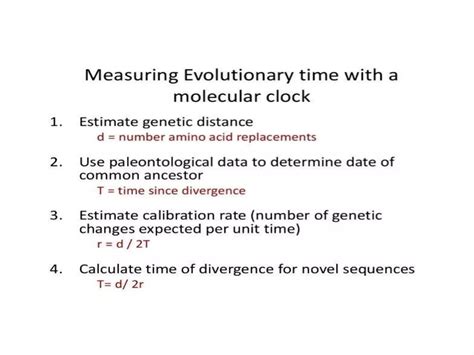 Neutral Theory Of Evolution PPTX