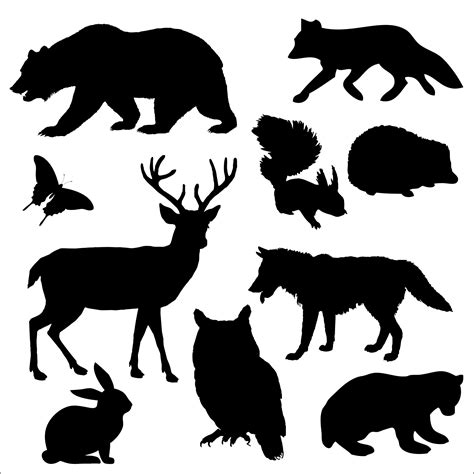 Animales De La Selva Stock De Foto Gratis Public Domain Pictures