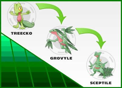 Rede Pokemon Evolition Do Treecko