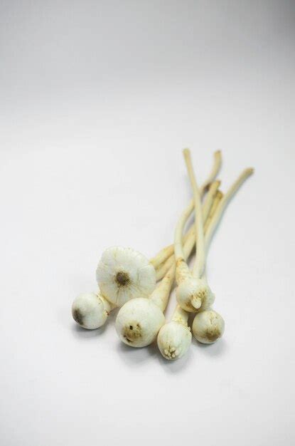 Premium Photo Group Of White Wild Mushroom On White Background