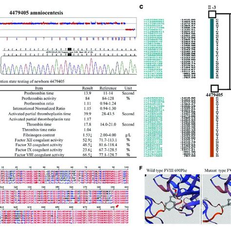 A The Copy Number Variation Cnv Detection And B The Mutation Download Scientific