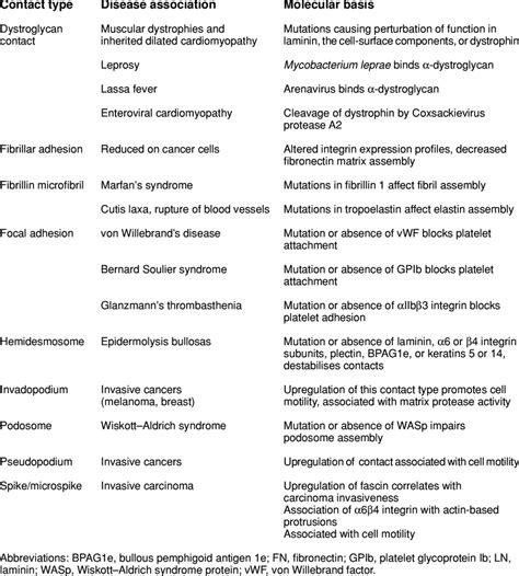 Examples Of Pathologies Associated With Abnormalities Of Cell Matrix