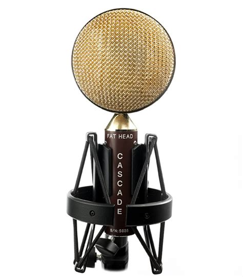Example Of Ribbon Microphone At Lucy Gardiner Blog