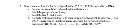 Solved Draw Structural Formula For The Polynucleotide 5 ﻿a