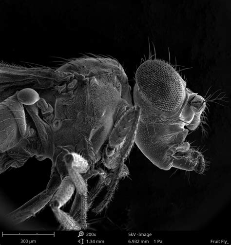 Eds Chemical Analysis Emit Llc