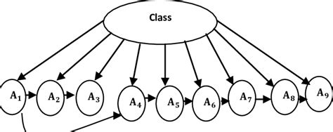 tree augmented naïve bayes tan construct tan procedure is described download scientific