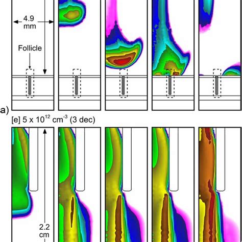 Plasma Properties During Propagation Of The Ionization Wave Onto The