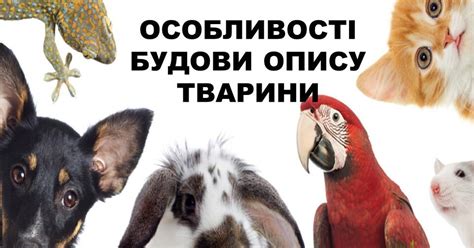 Презентація Особливості будови опису тварини 5 клас НУШ Презентація Українська мова