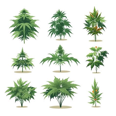 Premium Vector Weed Plants Vector