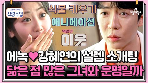 클립배송 ♡에녹과 강혜연♡ 이렇게 잘 맞기도 쉽지 않다 취미도 같고 동네도 같다고 Zum Tv