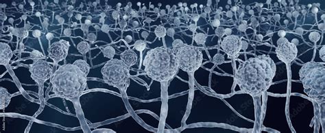 Mold Fungi Mucor Spores Sporangia 3d Illustration Stock Illustration