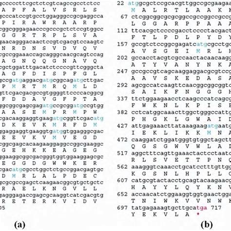 Open Reading Frame Orf Sequence Of Genes Isolated From Wheat A