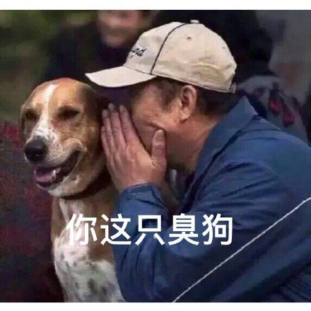 说悄悄话表情包无字 2021流行的表情包 伤感说说吧