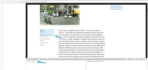 Siteorigin Css LÉcho Des Plugins Wp