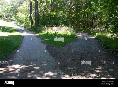 Forest Path Split Hi Res Stock Photography And Images Alamy