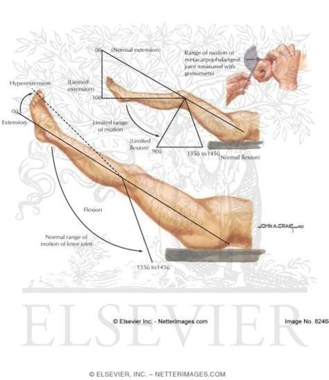 Measurement Of Range Of Motion