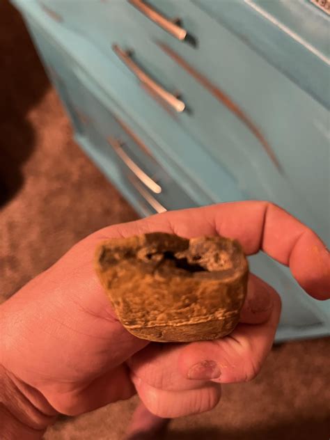 Found In Se Oklahoma R Fossils