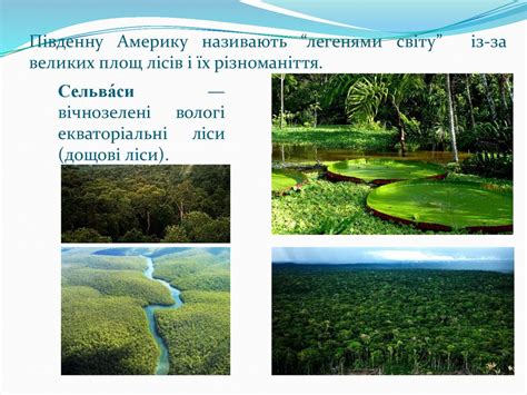 Південна Америка Рослинний і тваринний світ Південної Америки презентация онлайн
