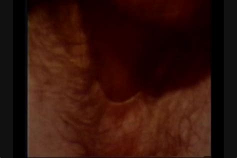 More Outrageous Sex Acts Streaming Video On Demand Adult Empire