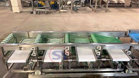 Size Sorting Machine For Red Dates Fruit Sorting Grading Machine