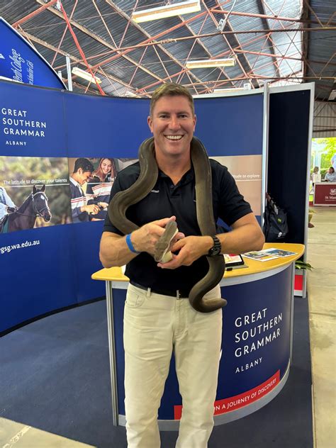 Great Southern Grammar