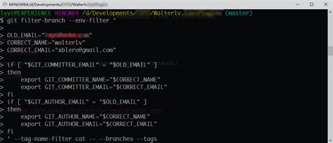 在整个 Git 仓库的历史（包括所有分支和标签）中修改提交作者的信息（姓名和邮箱） Walterlv