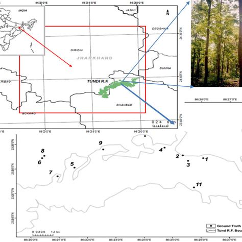 Pdf Insar Based Tree Height Estimation Of Hilly Forest Using Multitemporal Radarsat 1 And
