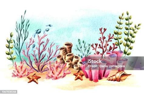 산호 조류 물고기와 수 중 구성입니다 흰색 배경에 고립 수채화 손으로 그린 그림 수채화에 대한 스톡 벡터 아트 및 기타 이미지 수채화 대양저 바닷속 Istock