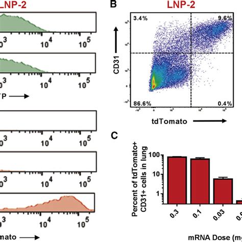 Ai14 Cre Mrna Mouse Model Description And Lipid Nanoparticle Download Scientific Diagram