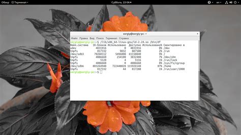 Библиотеки Linux Losst