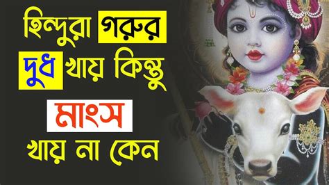 হিন্দুরা গরুর মাংস খায় না কেন😇গরু মাতা হলো কিভাবে Youtube