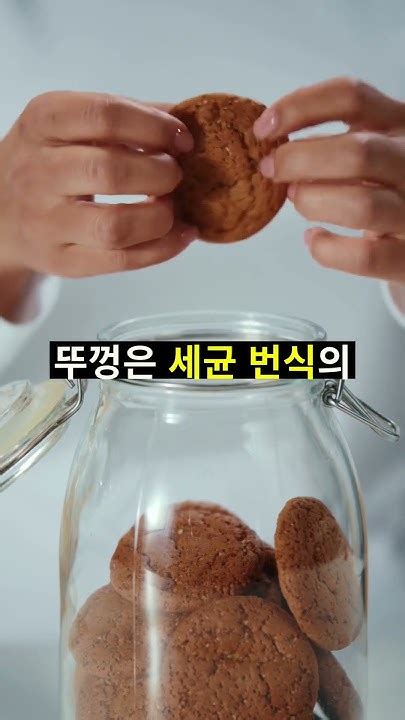 냉장고에 음식 제대로 보관하고 계신가요 Youtube