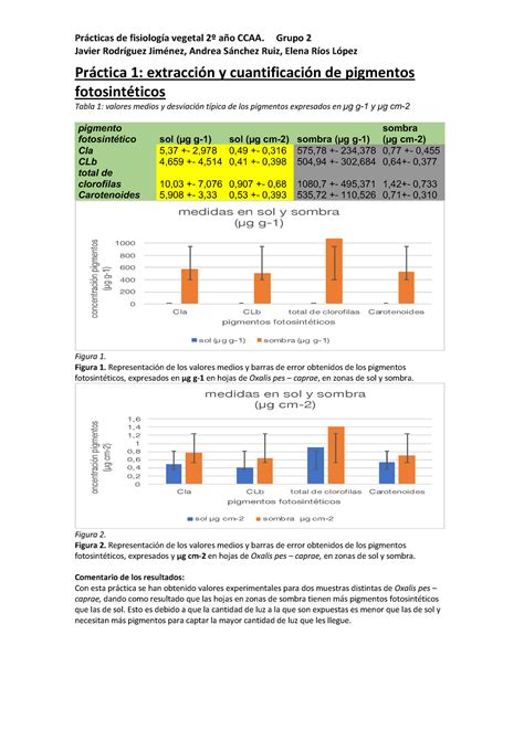 Práctica 123 Warning Tt Undefined Function 32 Warning Tt