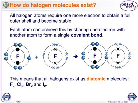 The Halogen With Electrons In The Atomic Orbitals Mumukick