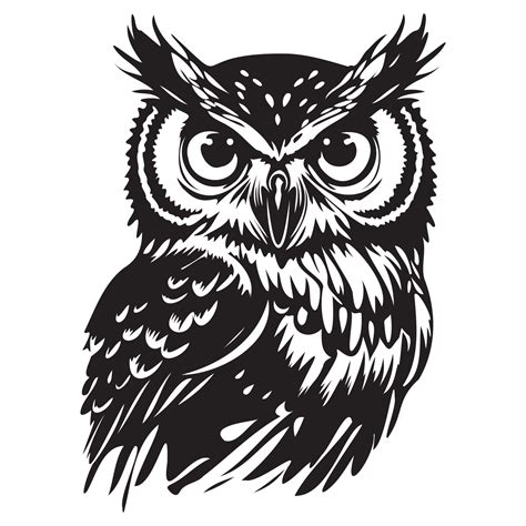 Owl Face Silhouettes Owl Face Svg Black And White Owl Vector 22666279
