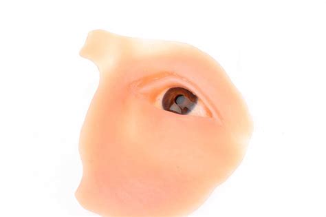 Lot 91 Two Eye Socket Protheses With Glass Eyes