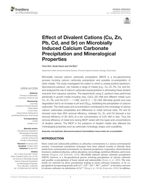 Pdf Effect Of Divalent Cations Cu Zn Pb Cd And Sr On