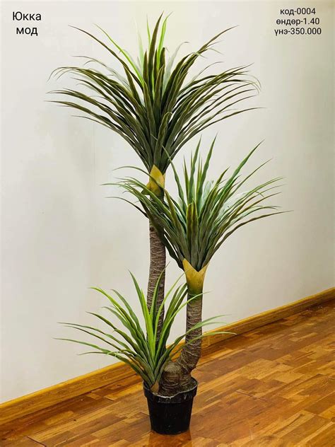 Хиймэл мод зүлэг өвс Ulaanbaatar