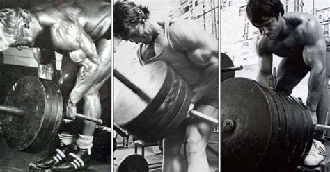 T Bar Row Exercise Form Guide With Video Pictures