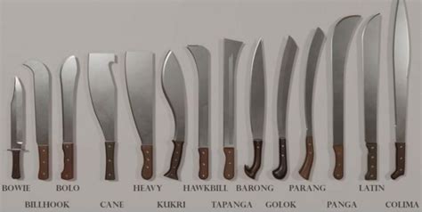 Machete Vs Sword Differences History And Combat Uses