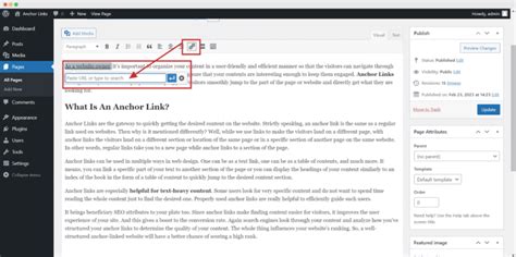 Basics Of Anchor Links And How To Use Them In Web Design